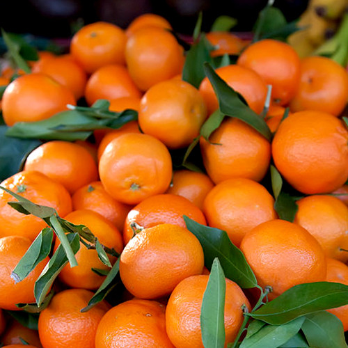 Mandarina | biohuerta