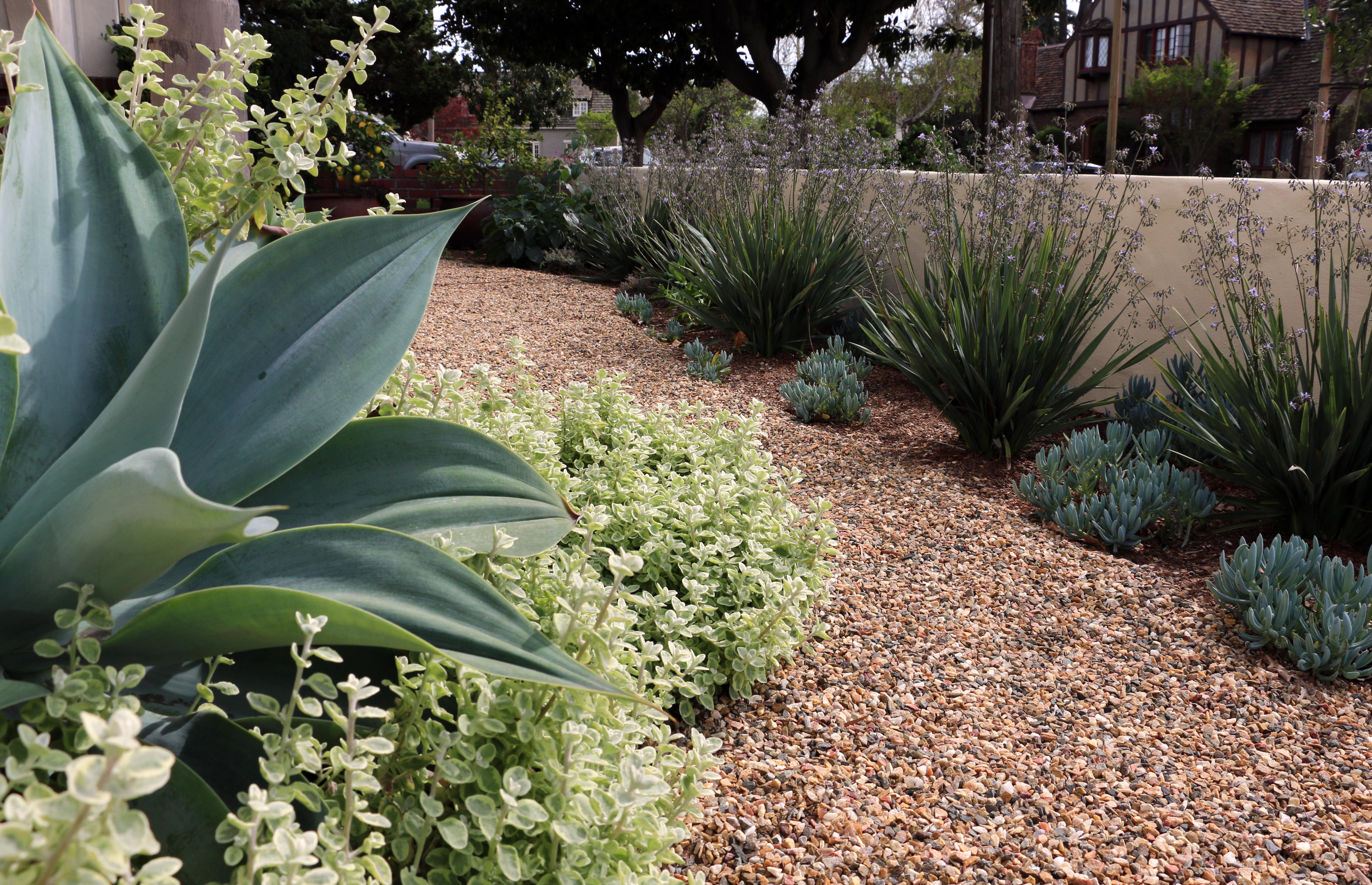 Curtis Horticulture DESIGN