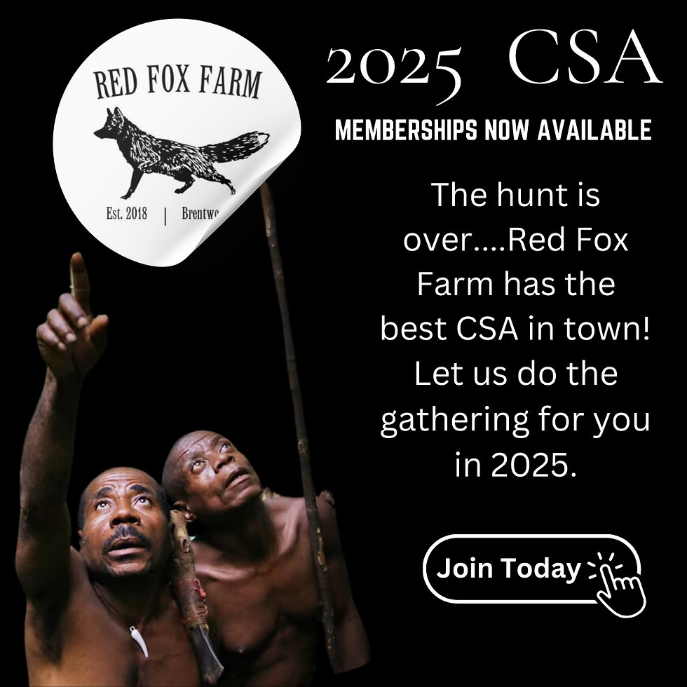 Red Fox Farm | CSA & Farmstand in Brentwood, NY