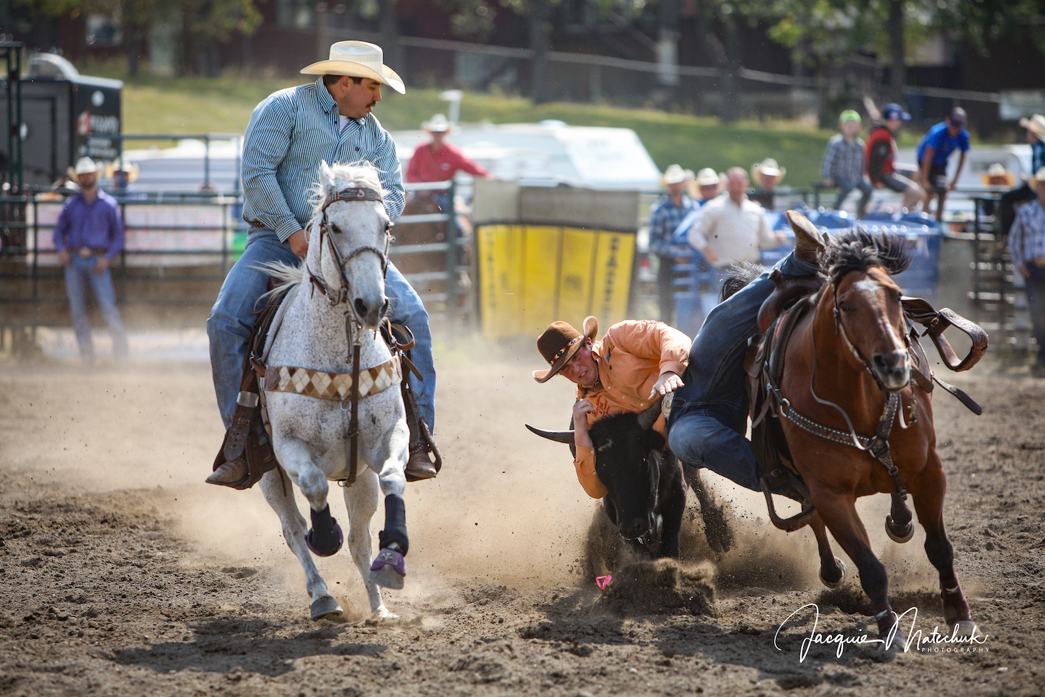 Cochrane Rodeo | Cochrane Lions Club