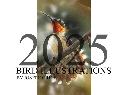 2025 Calendar of Bird Illustrations by Joseph Grice | Joseph Grice Art