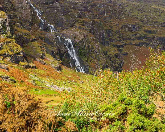 The Mare's Tail, Adrigole, Beara, West Cork