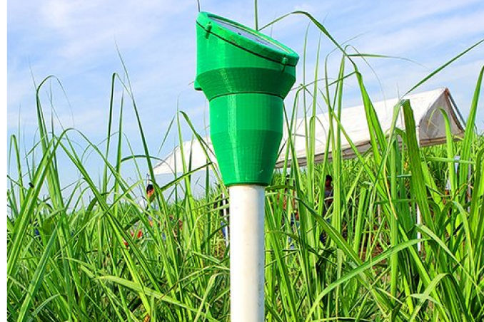 EDANA | Agua y Agricultura