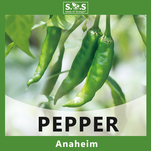 Pepper Anaheim Seeds | Seeds Of Strength