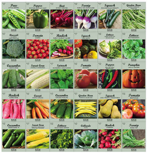 Mix Organic 9100+ Vegetable Seeds | Seeds Of Strength