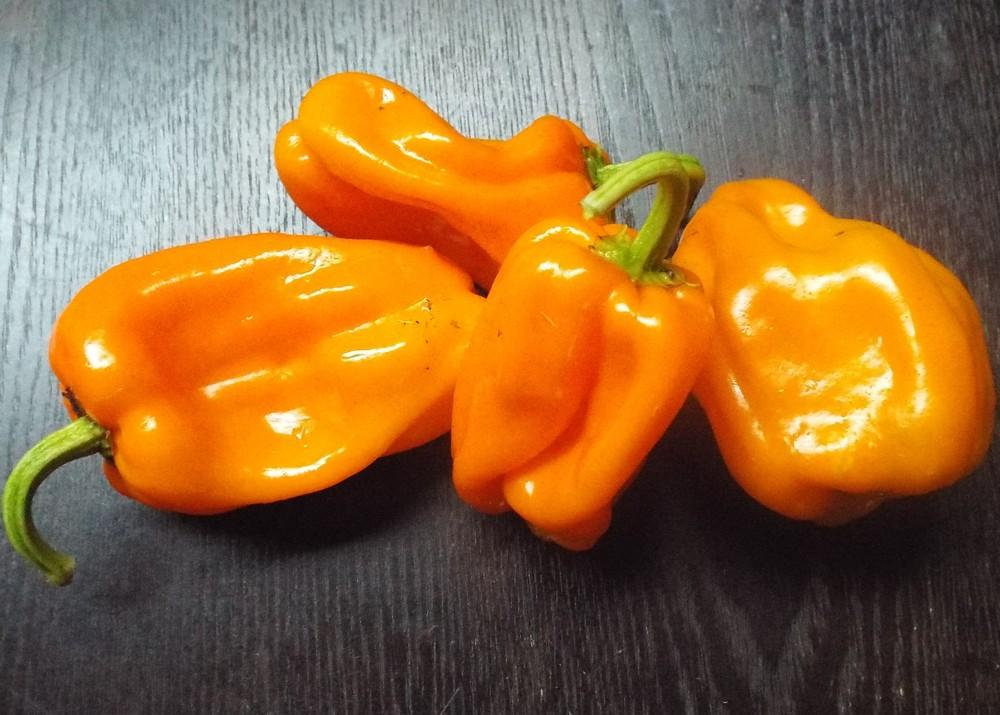 Peppers