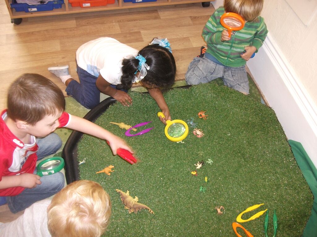 Gallery | fairfieldnursery