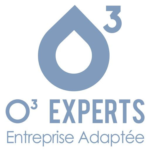 PREMIER MECENAT AVEC O3 EXPERTS