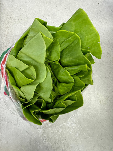 Plain Lettuce | Fresh Produce To You