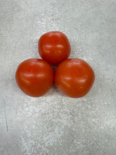 English Tomatoes 454g | Fresh Produce To You