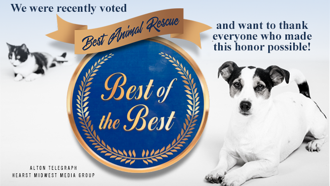 Alton Area Animal Aid Association Official Website,5A's,fiveas