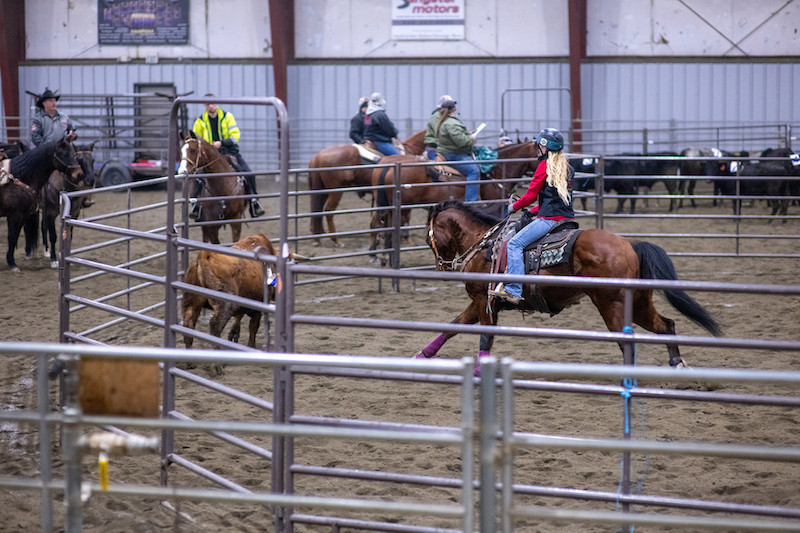 TEAM SORTING DIVISION | Appleatchee Riders