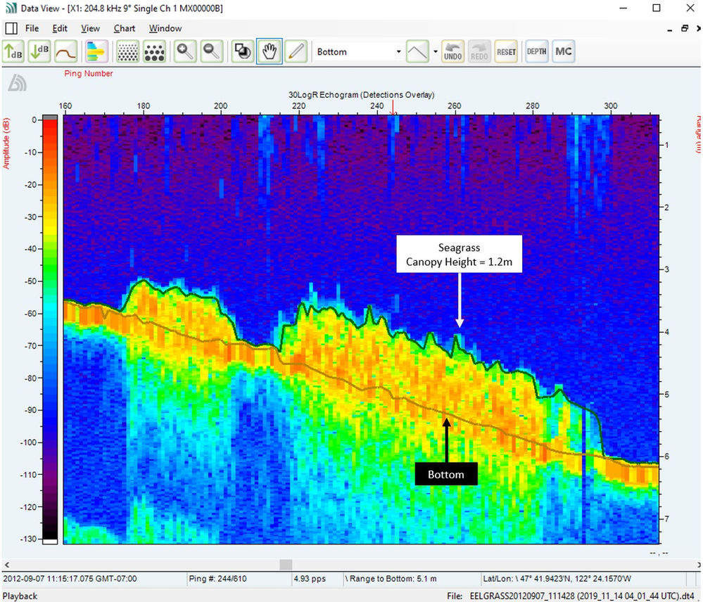 Seagrass and Sonar: Mapping Underwater Gardens