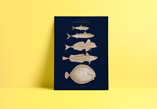 Affiche "Poissons" 30x40cm | Pablo est une fille