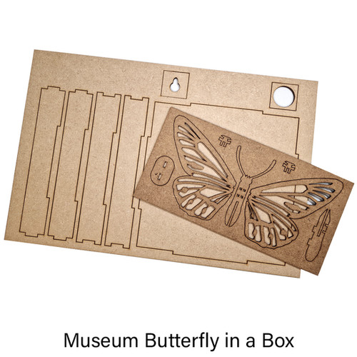 Butterfly in a Box Kit | janiesoriginals
