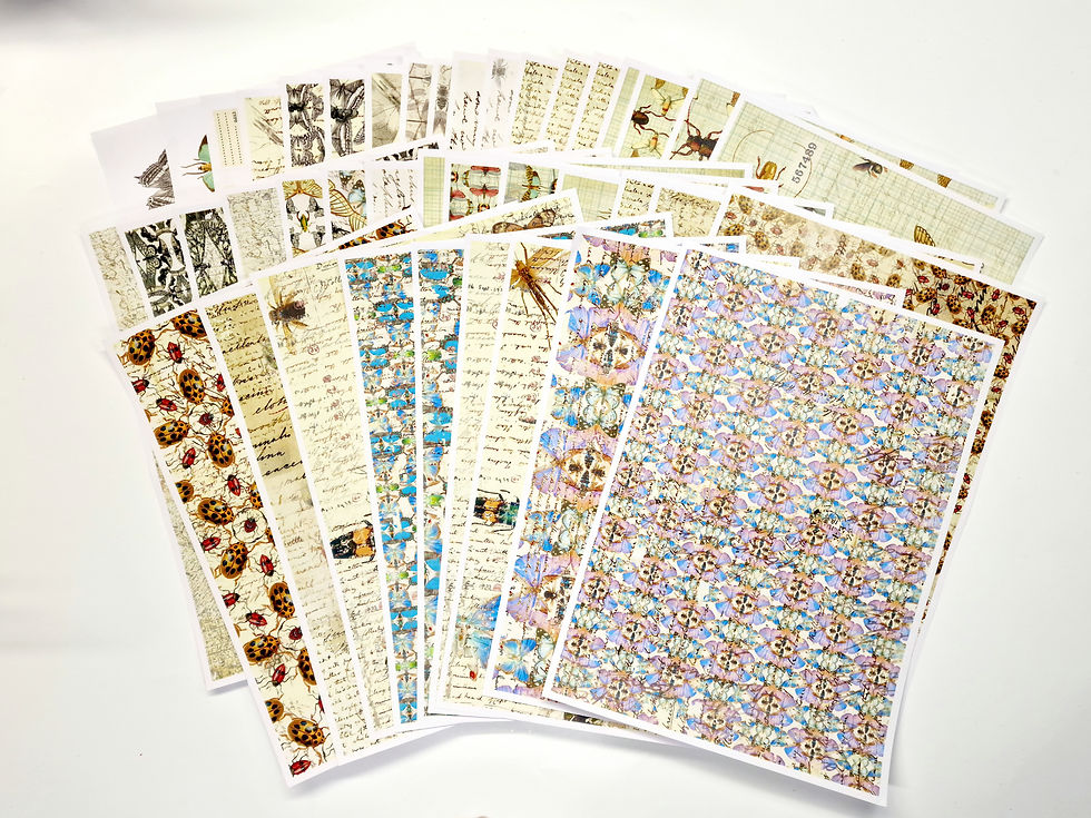 Designer Papers | janiesoriginals