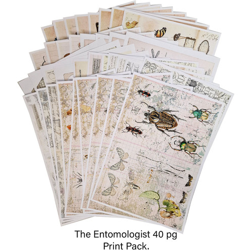 The Entomologist - A4 Designer Print Pack. 40 pg 90gsm | janiesoriginals