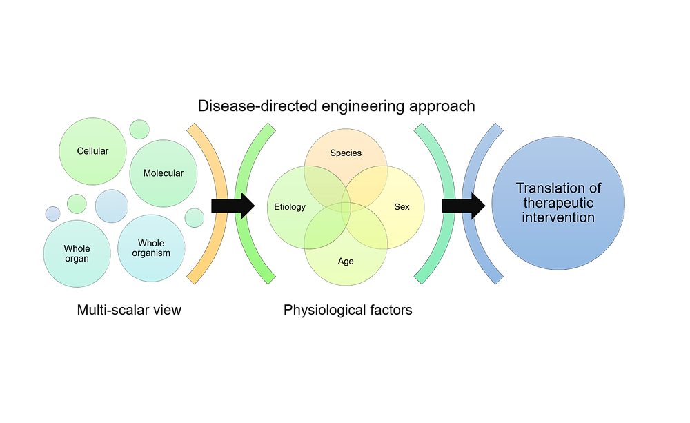 Disease-directed engineering for physiology-driven treatment interventions