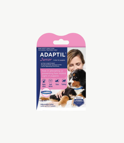 Adaptil Junior Collar for Puppies | JBR Pets
