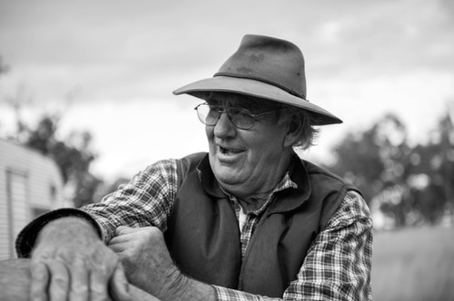 Harold Hopkins | breed-of-their-own