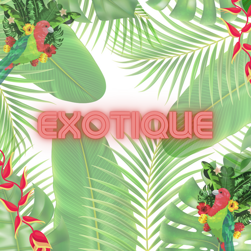 Kit exotique | Eventos Fantasticos