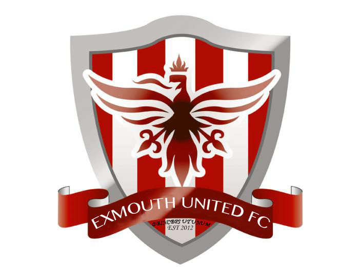 Venues | Exmouth United FC