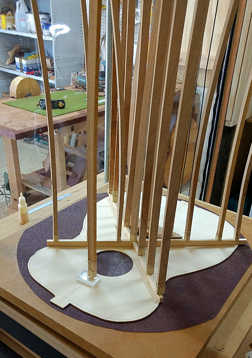 Gallery | Melbourne VIC | Daniel Hoban Guitars