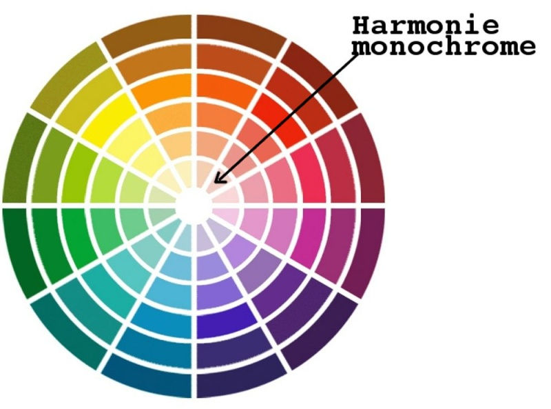 CONSEIL DU JOUR : Réaliser un camaïeu