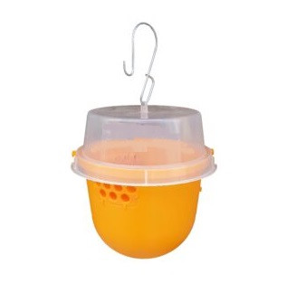 HEMI-TRAP SWD Monitoring trap (pack of 10 traps) | easylure