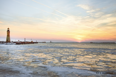 COLOR | buffalophotonet.com