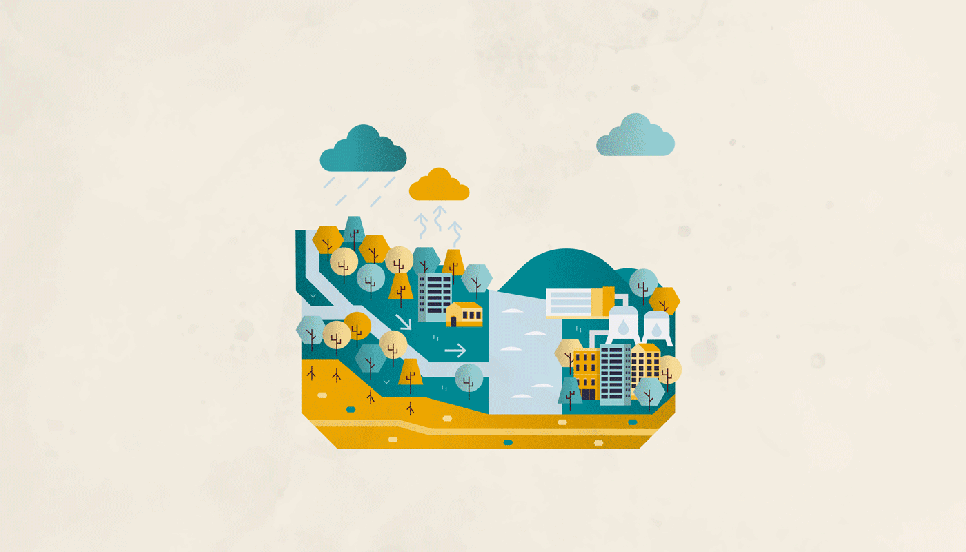 WRI - INFRAESTRUTURA NATURAL PARA ÁGUA | Néktar Design