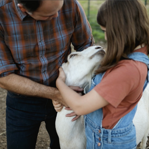 Farm Animal Rescue | Blue Iris Farm | Lebanon