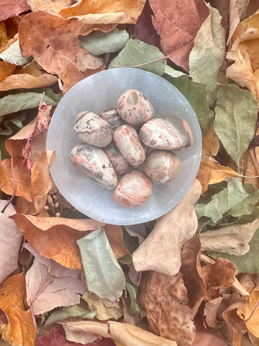 Leopardite (Leopard Skin Jasper) Medium Tumble Stone | AlwaysBelieveInMirac