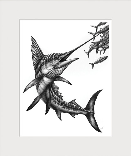 Making a Point – Sailfish Drawing Art Print | brianbucklesartwork