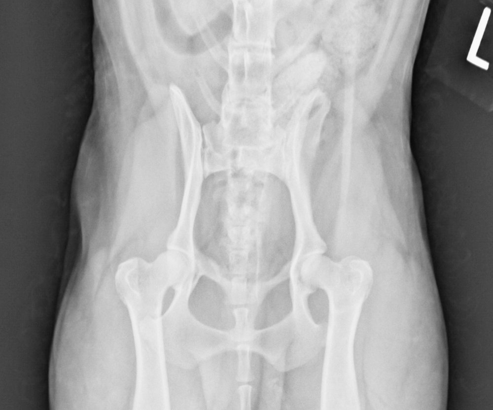 I don't need orthogonal views......