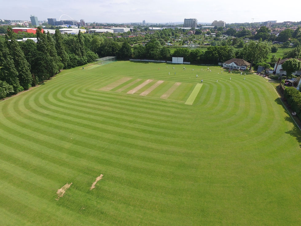 Cricket Gallery | The Brentham Club