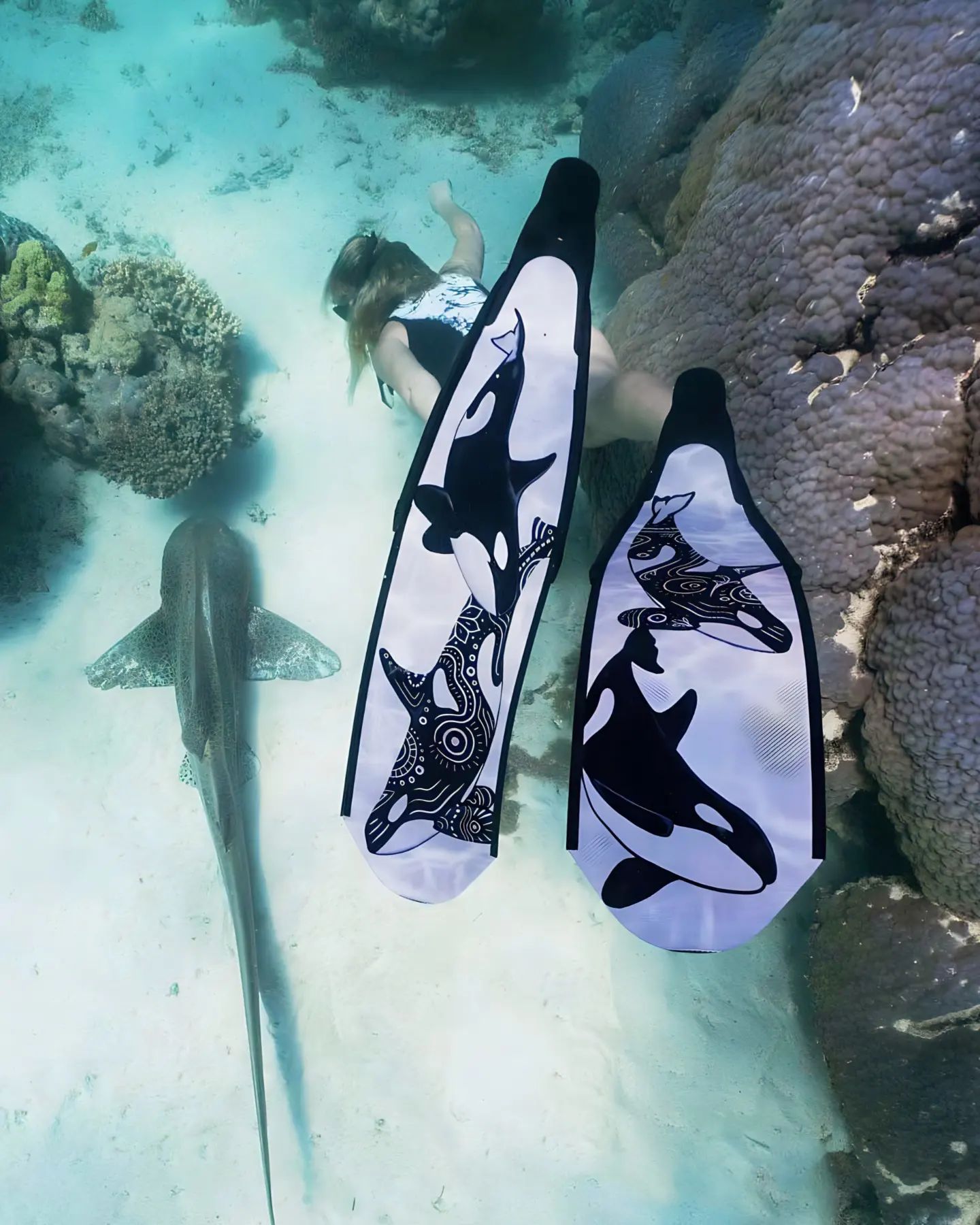 Apex | Freediving Nautilus