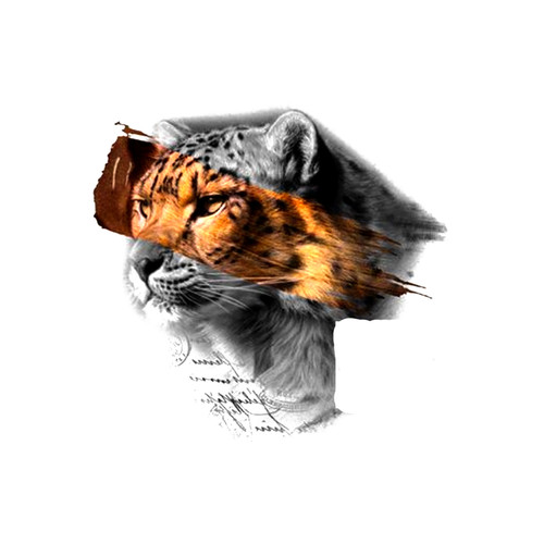 Wild | Temporary Tattoos Ro