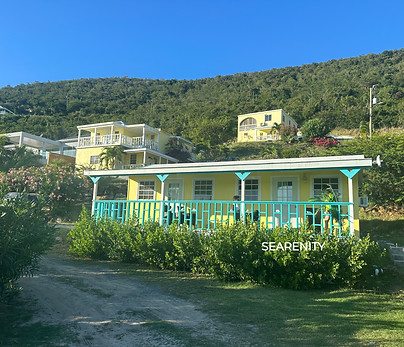 THE UNITS | Ivan's White Bay