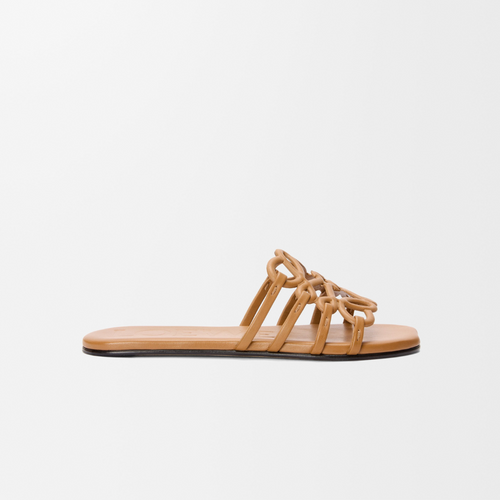 Camel Petal Anagram Slide | LE|MUTAGIM