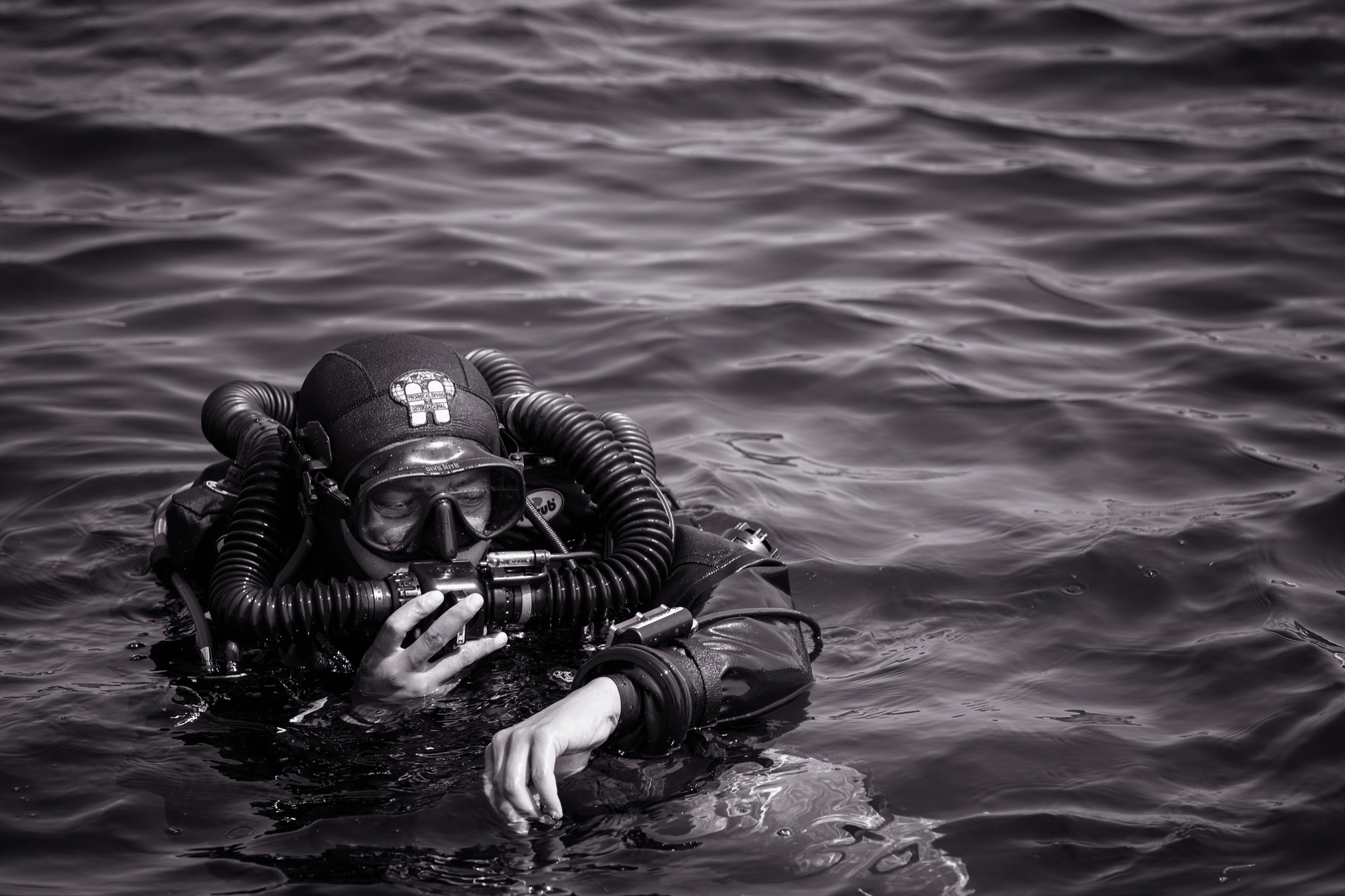 Trips and Activities | divingdragon