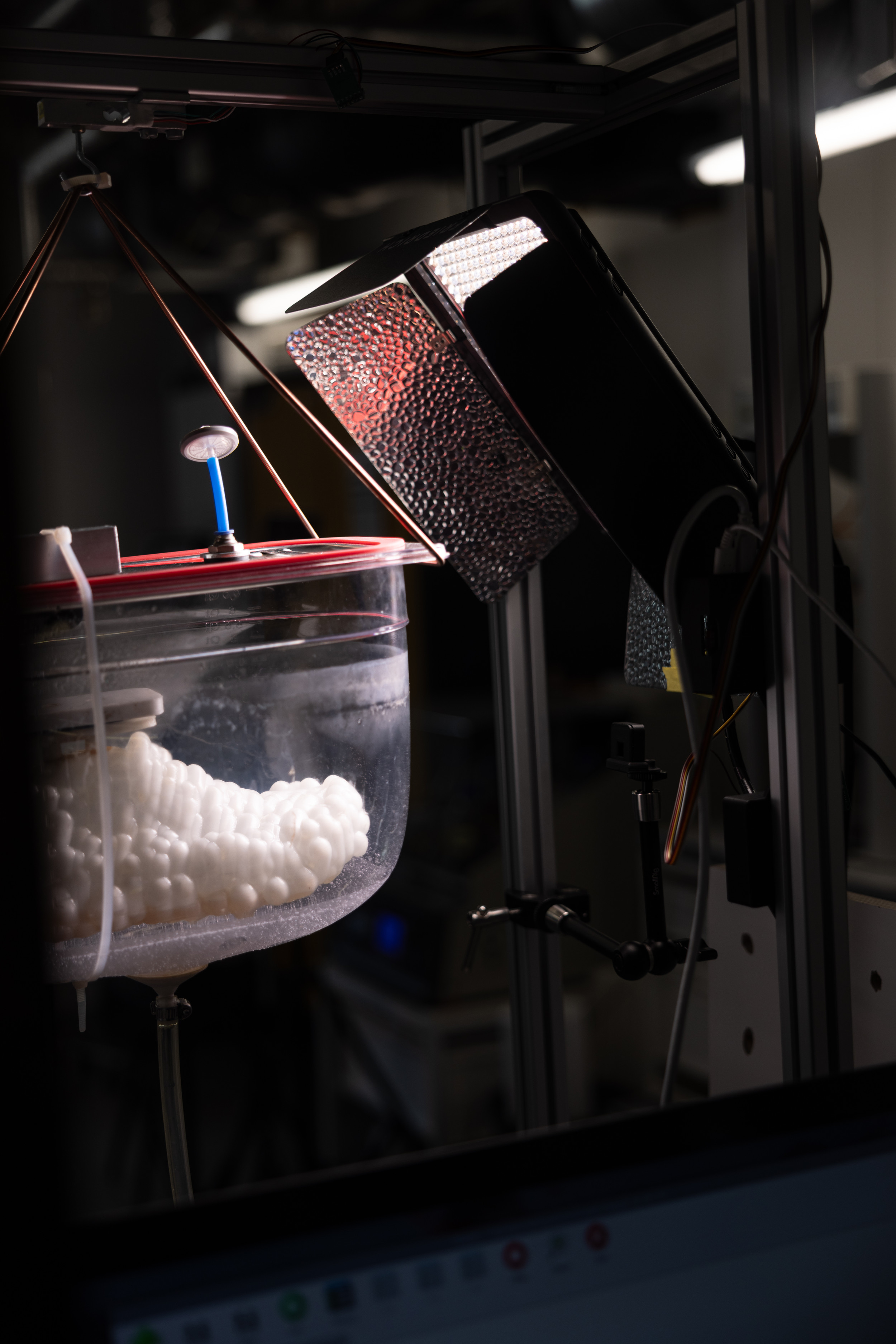 Biotic Boot Bacteria Cellulose Material Design