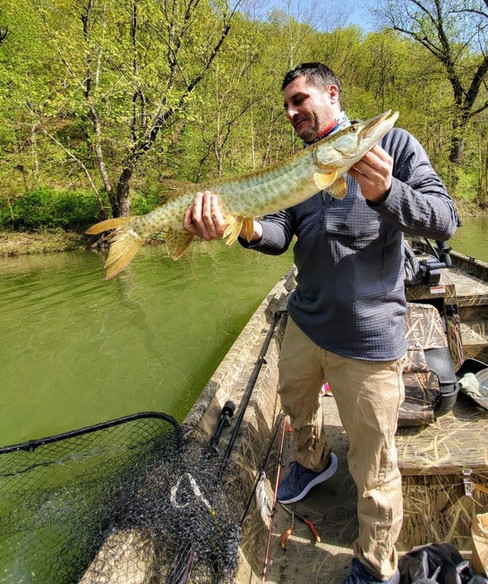 Musky on the Susky Gallery | Guided Musky Fishing Tours | Susquehanna River