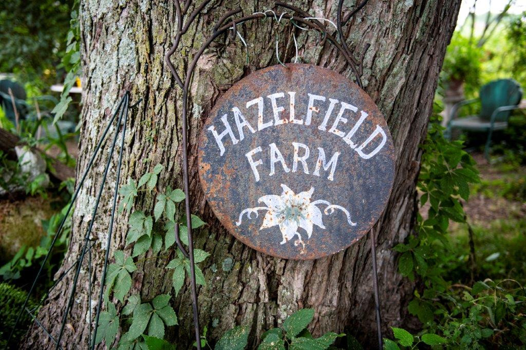 Hazelfield Farm's Online Store