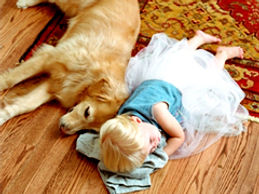 Adoptable Pets | partners-for-pets