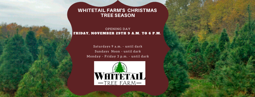 Rustic Wedding Venue, Whitetail Tree Farm, Pumpkin Patch, Corn