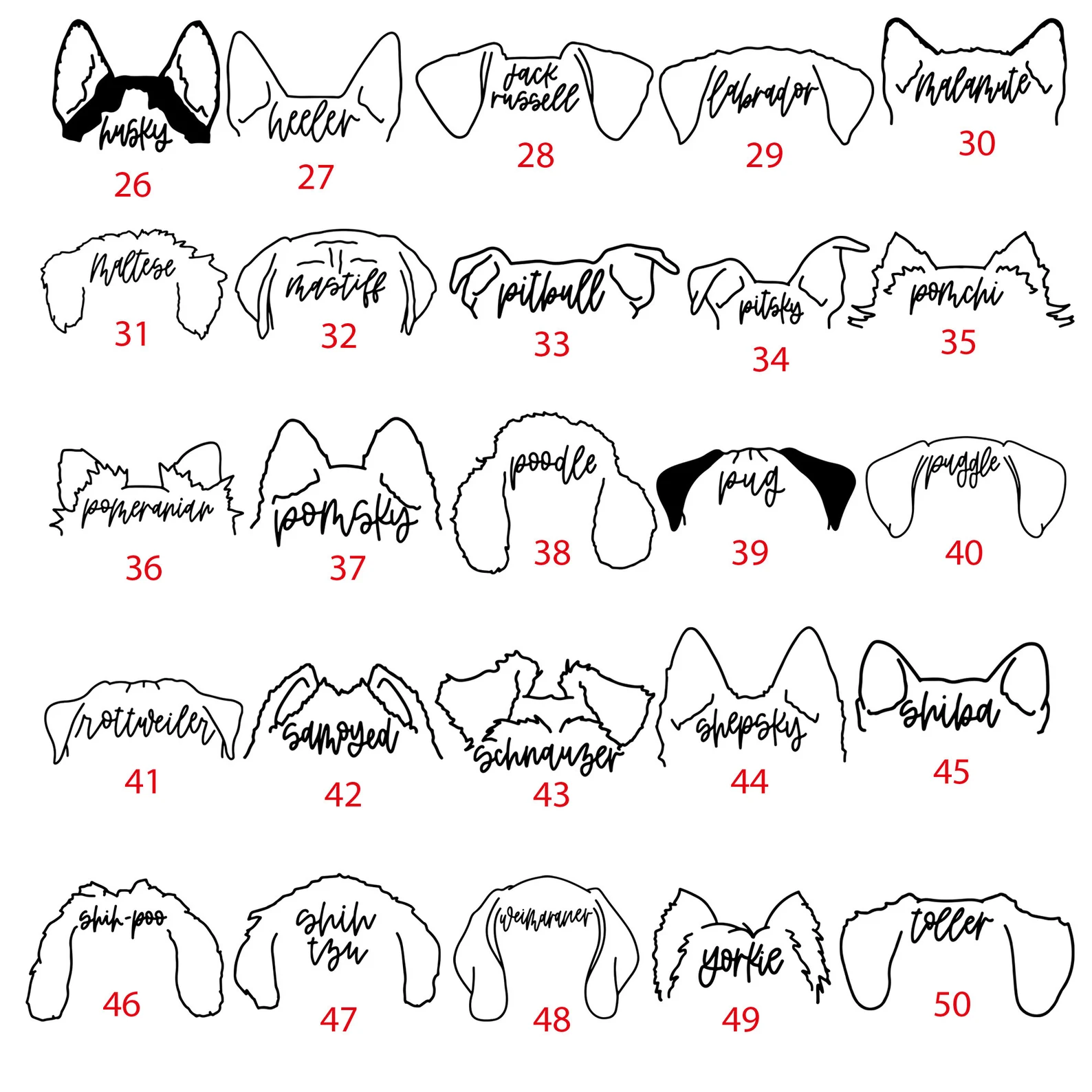 Custom Dog Name Freundly Designs Custom Dog Name Freundly Designs