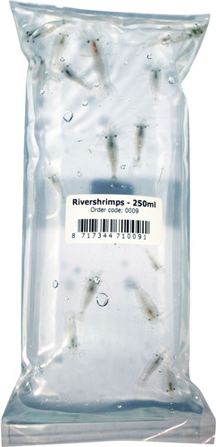 Live River Shrimp 250ml | Trimar Aquaria