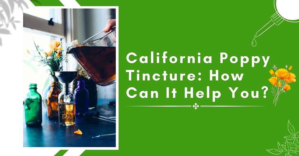 California Poppy Tincture: How Can It Help You?