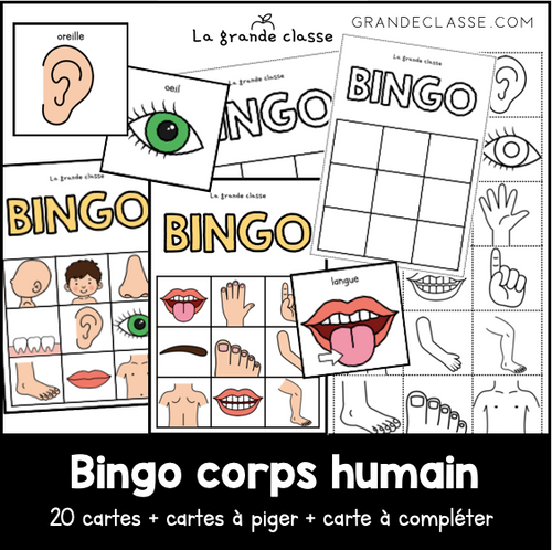 Bingo corps humain | La grande classe